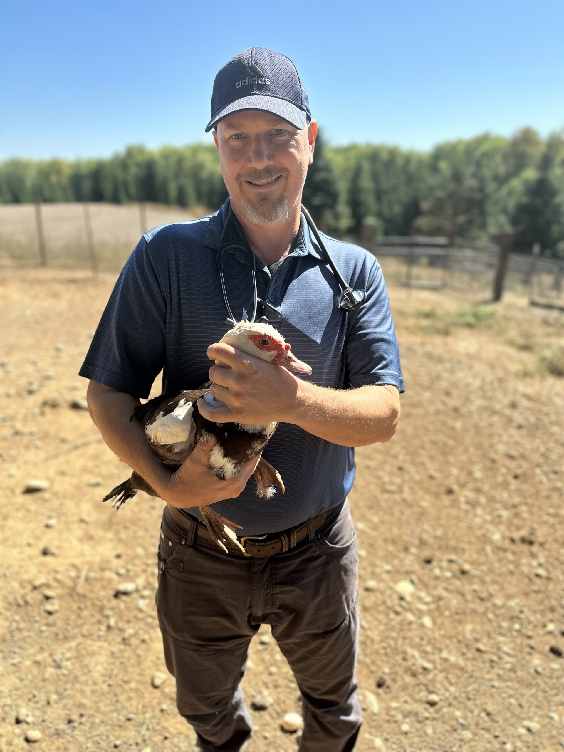 Dr. Stephen Jenkins – Mobile Veterinary Service